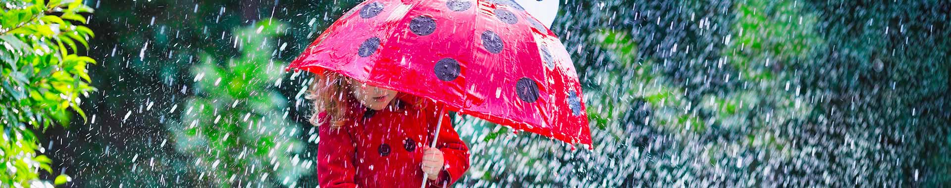 Aussie World - Noosadays