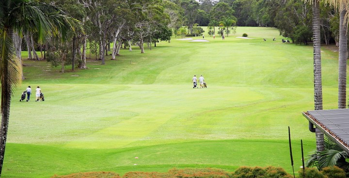Noosa Golf Club - Noosadays